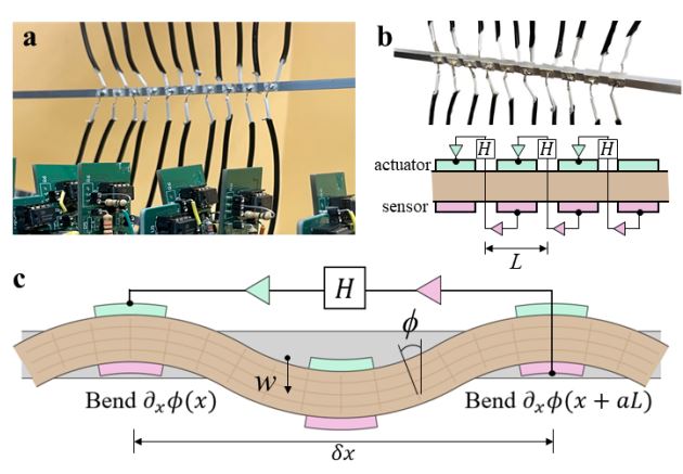 Engineering nonreciprocal wave dispersion in a nonlocal micropolar ...